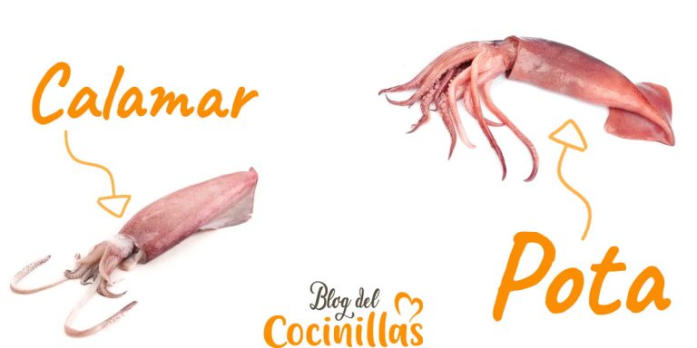 Cómo cocinar la pota para que quede tierna